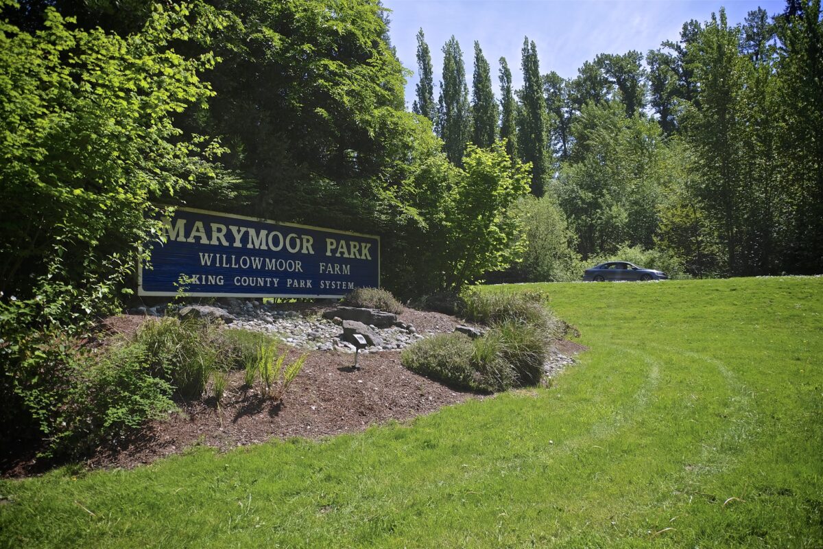 About Marymoor - Marymoor Live